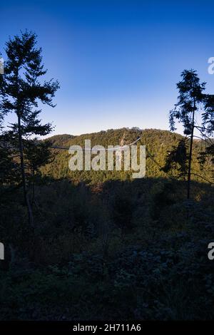 View of the landscape from the Geierlay suspension bridge. Beautiful ...