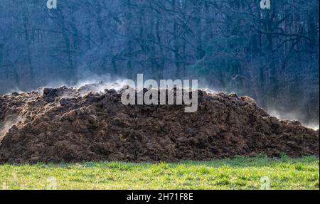 A pile of cow dung as a symbol of methane pollution of the atmosphere ...
