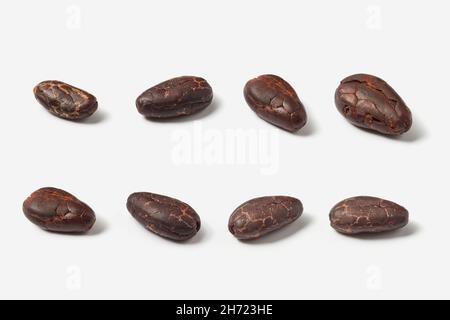 Rows of peeled texture cocoa beans Stock Photo - Alamy