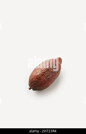 Single whole cocoa tree pod Stock Photo - Alamy