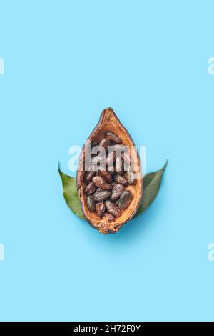 Raw Cocoa Bean Pod from South America Stock Photo - Alamy