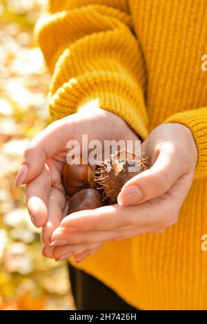Woman with heap of chestnuts outside Stock Photo - Alamy