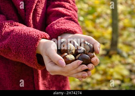 Woman with heap of chestnuts outside Stock Photo - Alamy