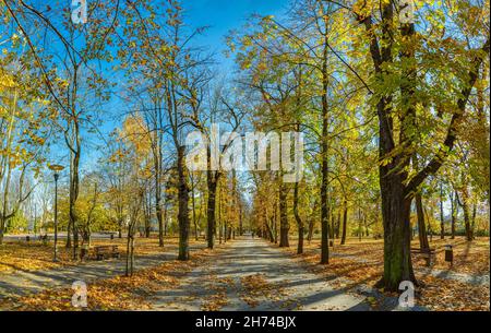 A picture of the fall foliage at the Stanislaw Staszic Municipal Park ...