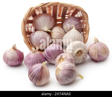 Single Bulb Garlic / Solo Garlic (Allium sativum) The bulb is not split ...