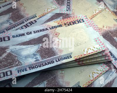 Money of Sierra Leone. Leone bills. SLL banknotes. 5000 Mende. Business ...