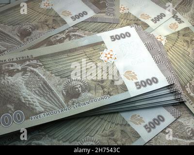 Money of Syria. Pound bills. SYP banknotes. 5000 Arabic. Business ...