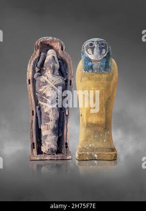 Roman Egyptian falcon mummy, circa 1-2nd cent AD., Tehneh-Achoris ...