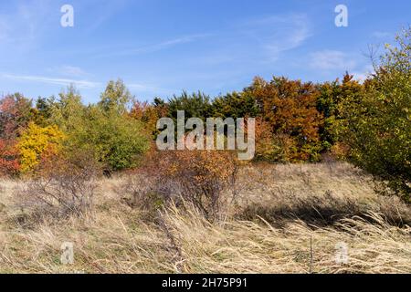 Autumn view of Vitosha Mountain, Sofia City Region, Bulgaria Stock ...