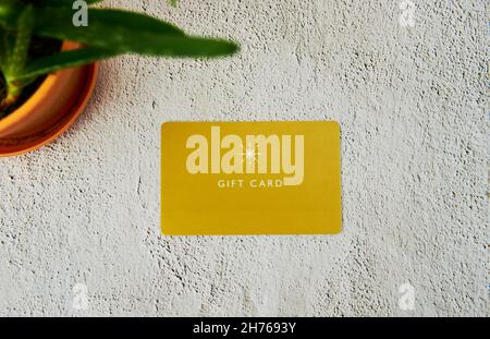 Yellow gift card with Aloe on a grey background Stock Photo - Alamy