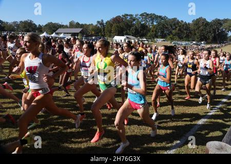 during the NCAA Division I Cross Country National Championship hosted ...