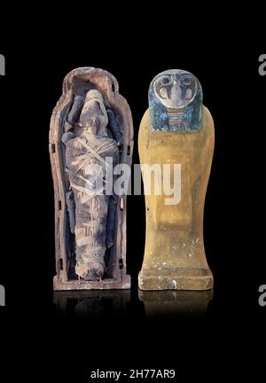 Roman Egyptian falcon mummy, circa 1-2nd cent AD., Tehneh-Achoris ...