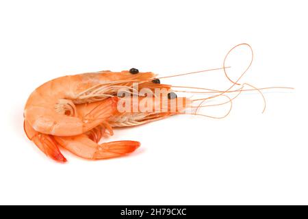 Perfectly retouched shrimp isolated on white. High resolution photo ...