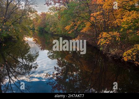 Red Cedar river winding through Michigan State University campus during ...