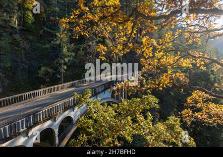 Shepperd's Dell Falls bridge trail railings covered with moss. Historic ...