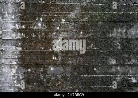 Texture of old, gray world war 2 bunker wall in high resolution Stock ...