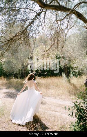 Bride Holding a Tree Branch in a Cactus Garden Stock Photo - Alamy