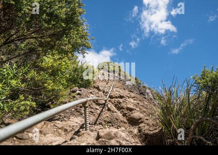 Duke's Nose (Kaiaraara Rocks) Track, New Zealand Stock Photo - Alamy