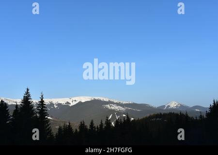 Highland and a fir forest half covered by the snow Stock Photo - Alamy