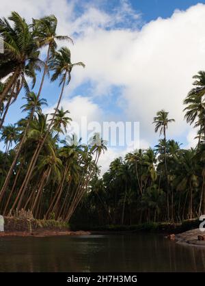Cabo de Rama Backwaters - Goa, India Stock Photo - Alamy