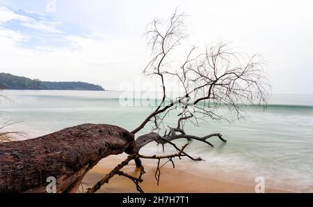 Galgibaga Beach - Goa, India Stock Photo - Alamy