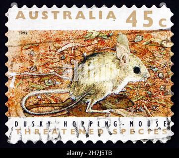 Dusky Hopping Mouse (Notomys fuscus), Fam. Muridae, A rare arid zone ...