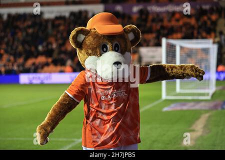 Bloomfield Bear dances as Blackpool fans sing away Stock Photo - Alamy