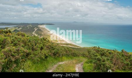 Puheke beach in the Karikari peninsula, Far North of New Zealand Stock ...