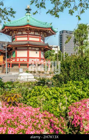 Shinobazu Pond in Ueno Park, Tokyo, is a popular attraction known for ...