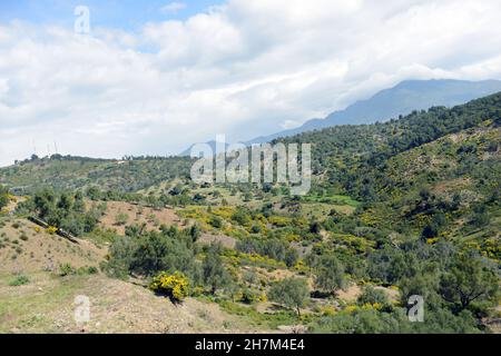 Landscapes at the Rif mountains region in northern Morocco Stock Photo ...