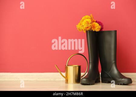 Pair of rubber boots, flowers, watering can and apple on floor against ...