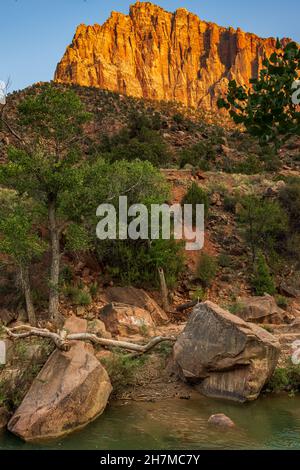The light of evening colors the Watchman in Zion National Park Stock ...