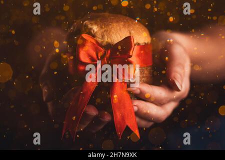 Hands Woman holding panettone wrapped as a christmas gift close up ...