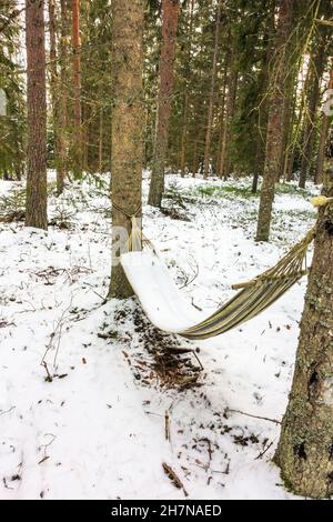 Snow covered hammock Stock Photo - Alamy