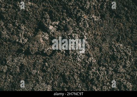 Black Dark Soil Dirt Backdprop Texture, Natural Pattern. Flat Top View ...