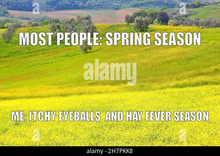 Allergy funny meme for social media sharing. Spring season allergic hay ...