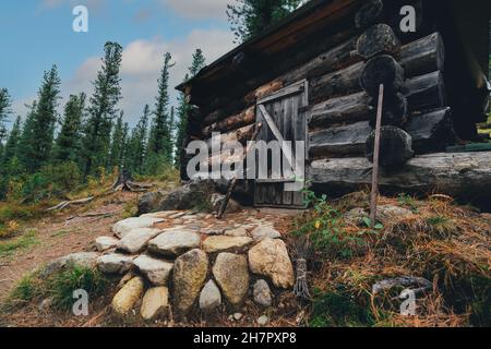 Old hut deep in the coniferous forest Stock Photo - Alamy