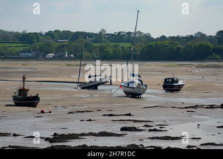 A beautiful shot of a red boat moored onto a lake in a lush forest ...