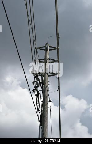 Wooden utility pole with multiple power lines and insulators stretches ...