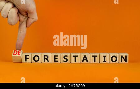 Forestation or deforestaion symbol. Ecologist turns wooden cubes and ...