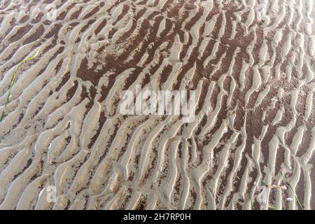 Dry soil texture with vain cracks in Yellowstone National Park, US ...