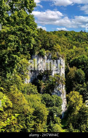 Panoramic view of Pradnik creek valley with jurassic limestone mountain ...