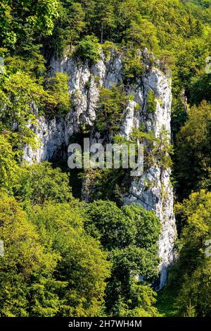 Panoramic view of Pradnik creek valley with jurassic limestone mountain ...