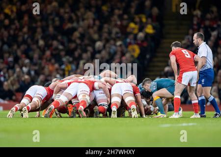 Tomos Williams, welsh scrum half, uses the ball to hide what he is ...