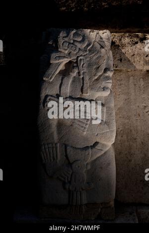 ancient mayan bas relief carvingsof a rabbit skull on a temple at the ...