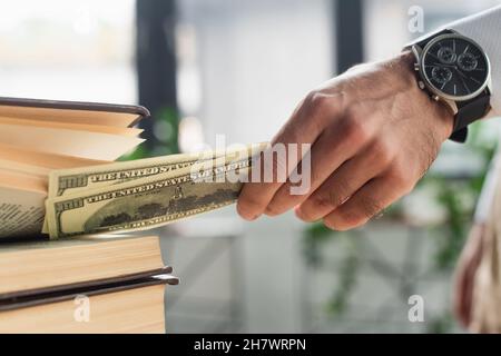 cropped view of woman hiding dollars in ceramic clean toilet bowl on ...