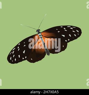 An illustration of a Garden tiger moth. The insect is depicted with his ...