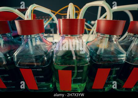 Experimental setup for enzymatic synthesis by genetically modified ...