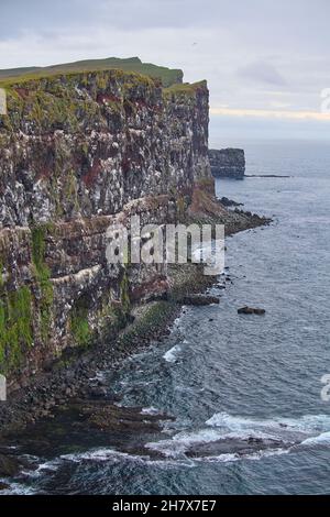 large bird cliffs,latrabjarg,vestfirdir,westfjords,iceland Stock Photo ...