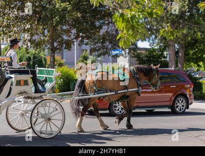 Carriage Ride In Victoria BC Canada. A horse drawn carriage with ...
